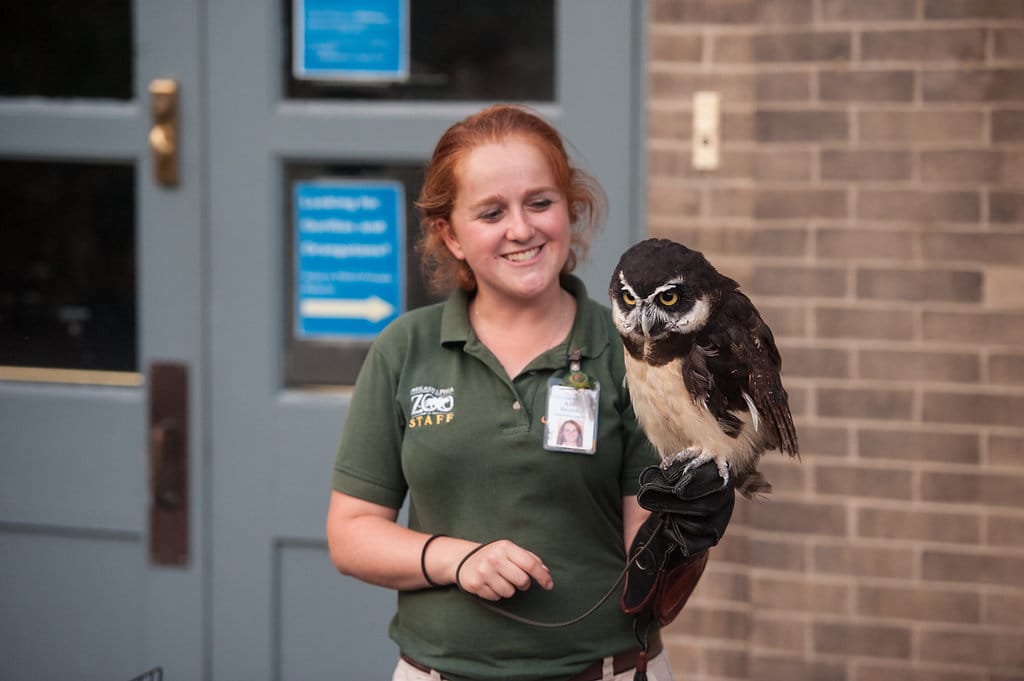 Meet Our Animals – Philadelphia Zoo