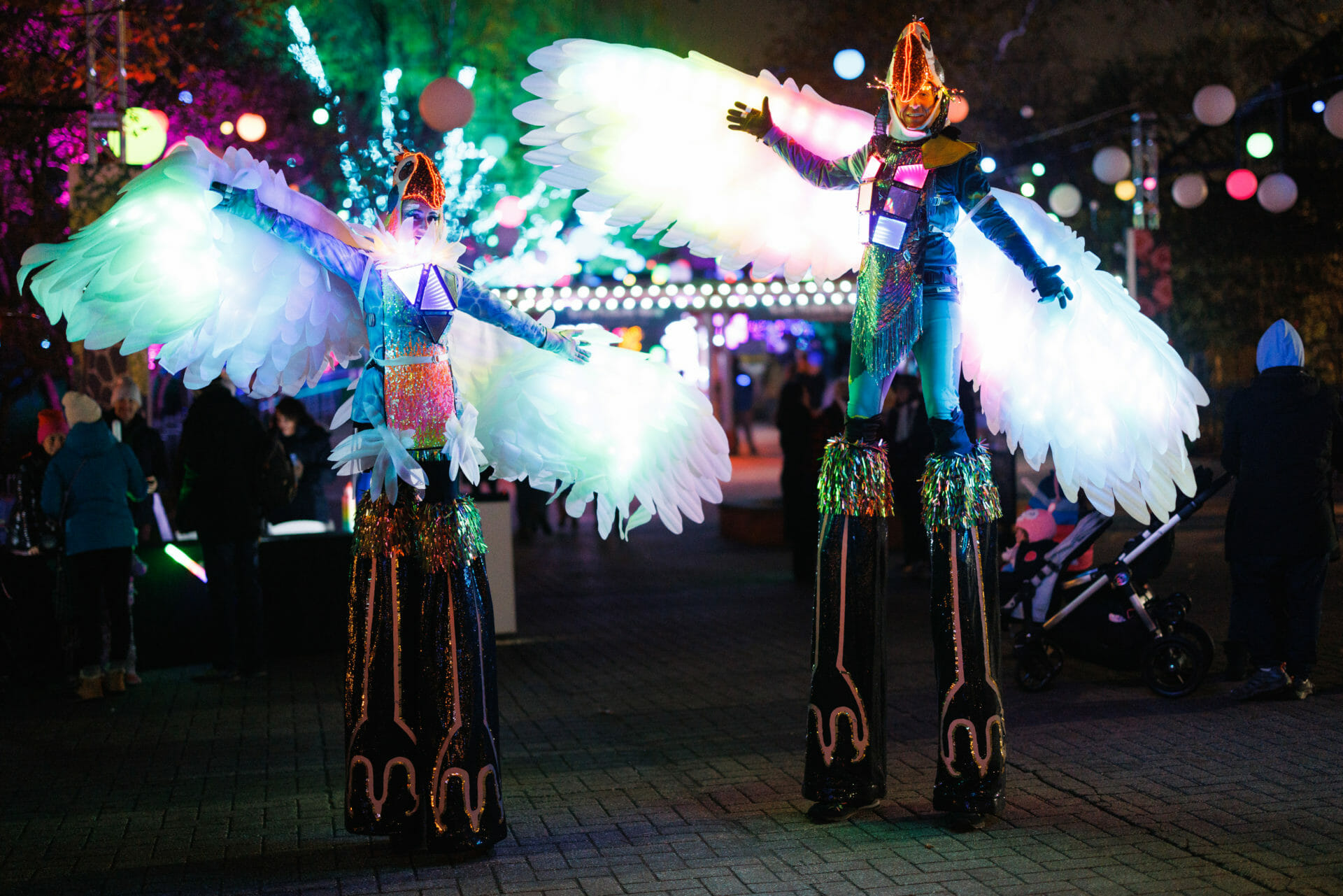 LumiNature: Philly Zoo's Holiday Light Spectacular – Philadelphia Zoo