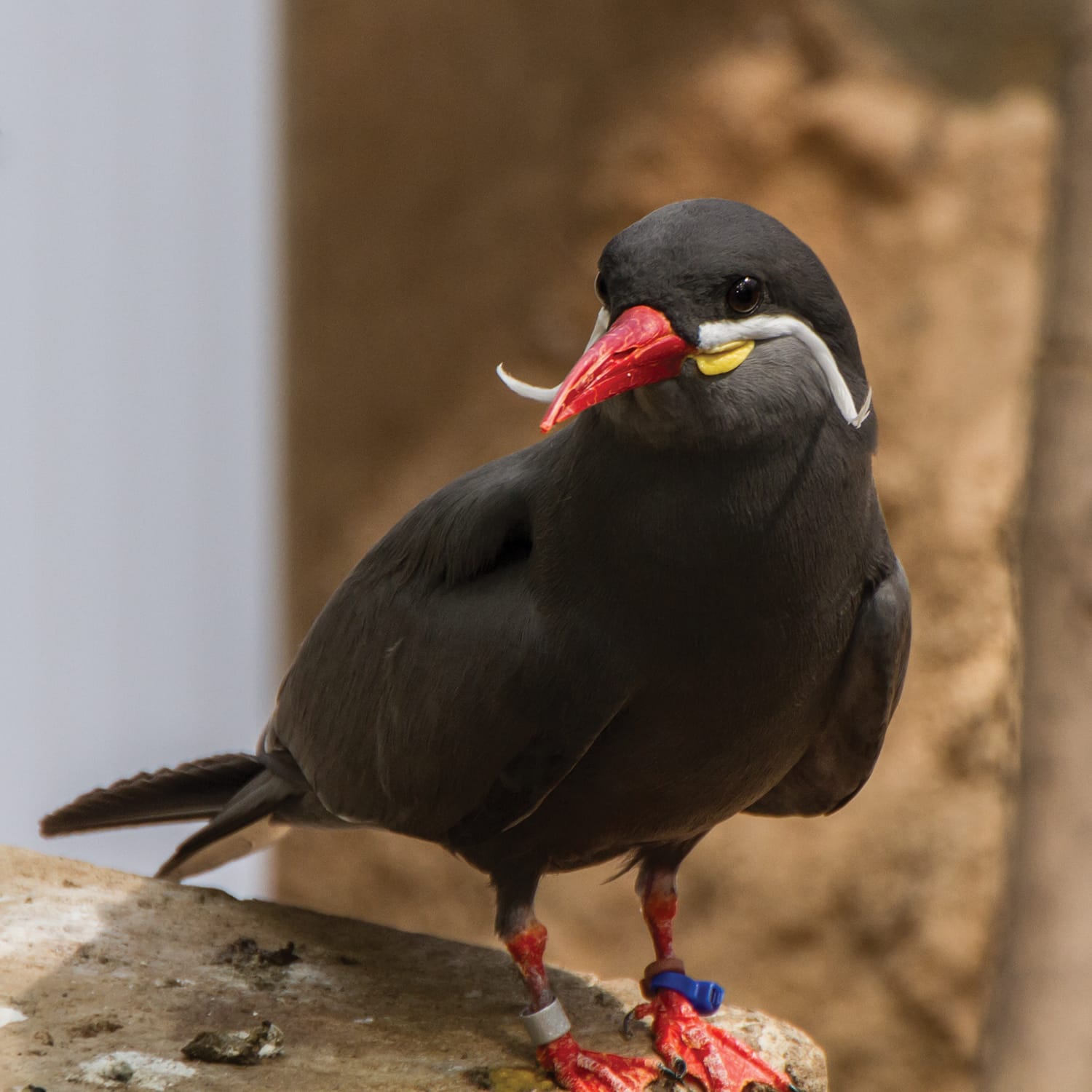 Take an Inside Look at the Zoo – Philadelphia Zoo
