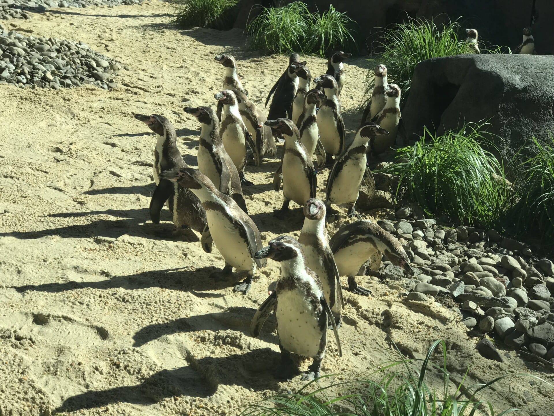 Exhibits – Philadelphia Zoo