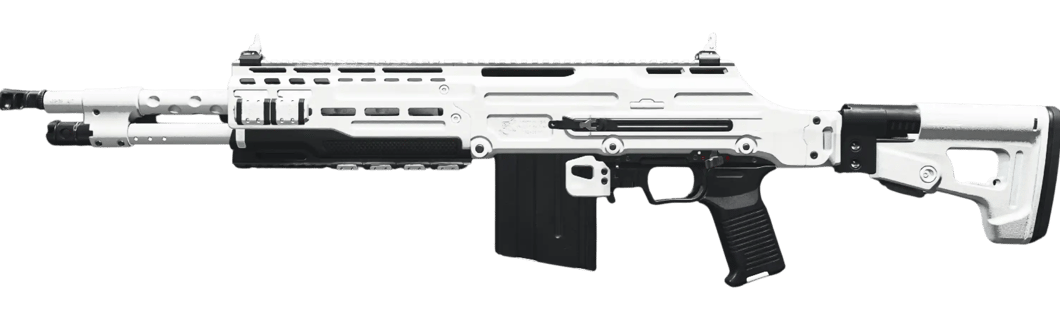 Top Guns to Pair with the DTIR 30-06 in Warzone Season 6: An Expert Guide