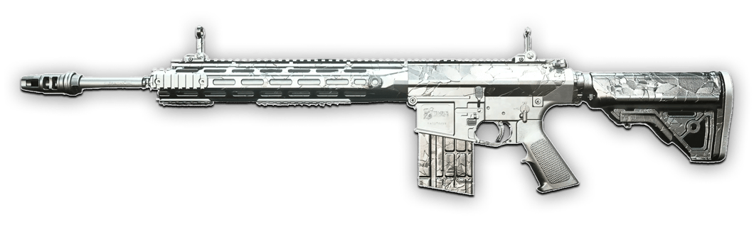 Warzone Meta: Your All-Encompassing Guide to the Best Marksman Rifles ...