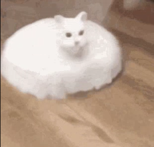 Cat Vacuum | clanker world