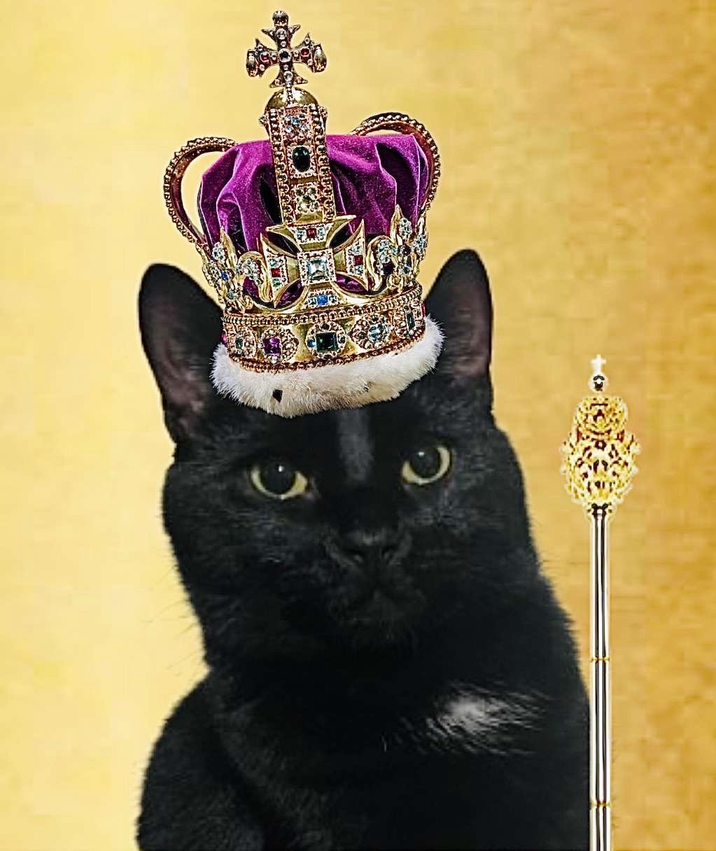 Sushi | clanker world