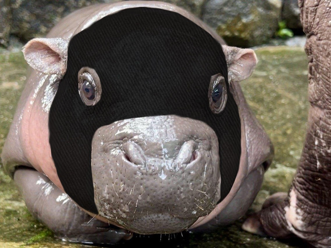 Ski Mask Moo Deng | clanker world