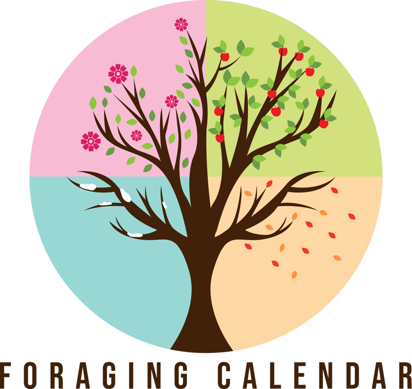 Foraging Calendar