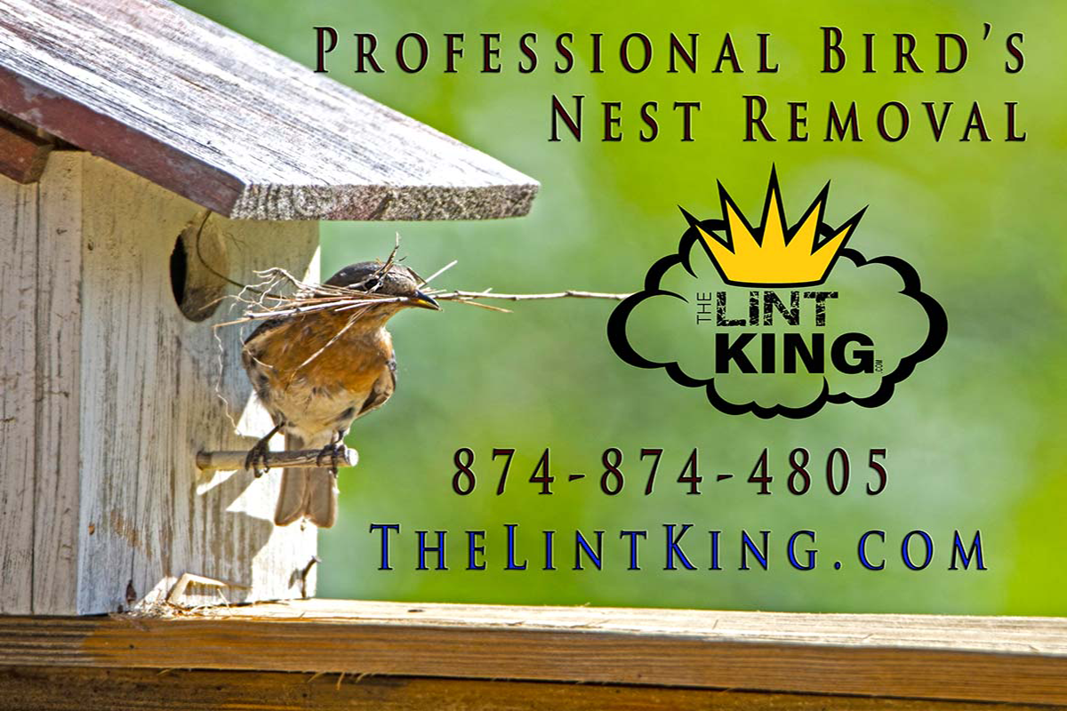 Bird's Nest Removal | Bird Covers | Vent Screens