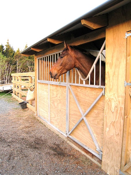 Tips for building a horse stable