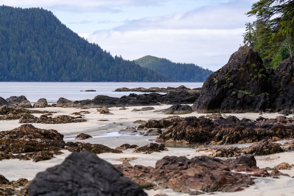 Ervaar de wildernis van Cape Scott Provincial Park bij San Josef Bay ...