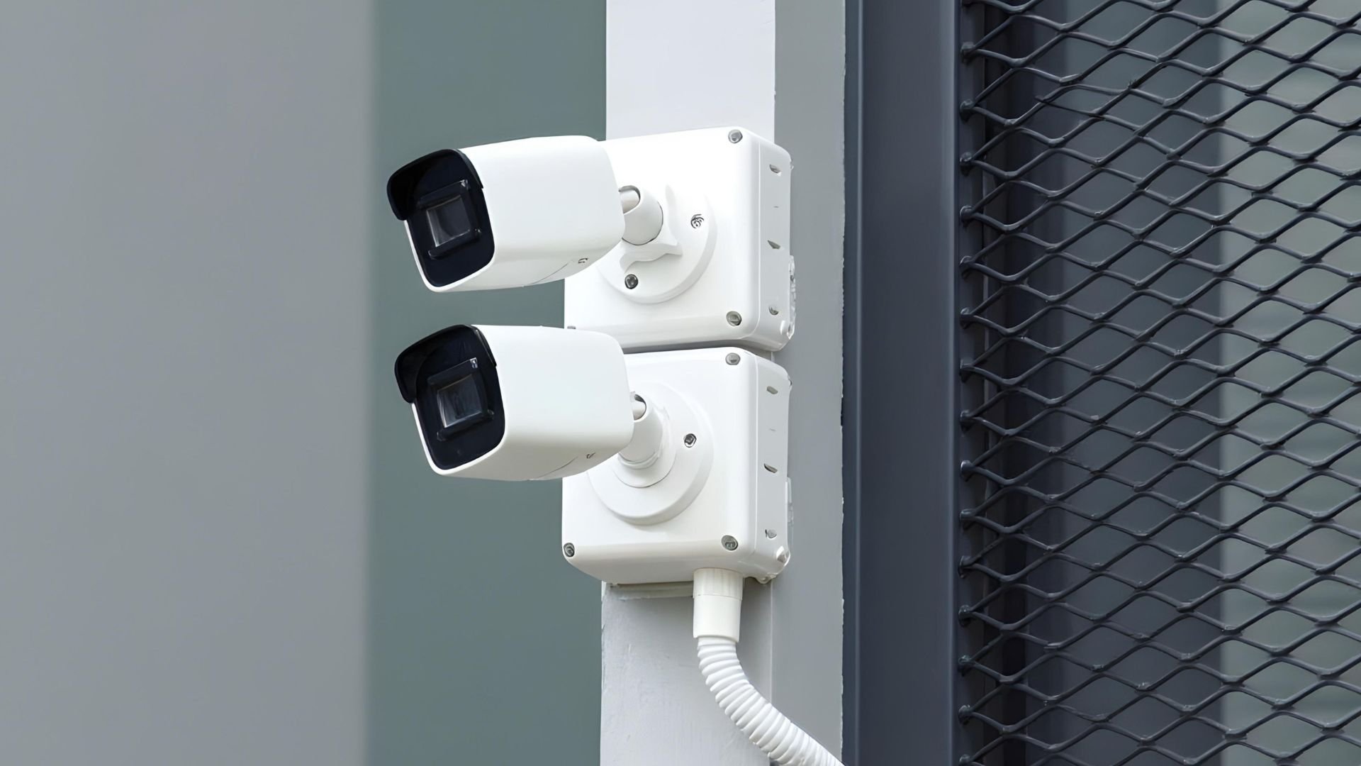 IP vs Analog Security Cameras: Which System Is Best? - YDA Security ...