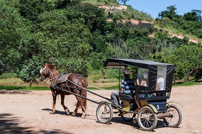Passeio de Trole - Terra dos Sonhos