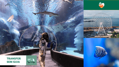 AquaRio + YupStar com transporte