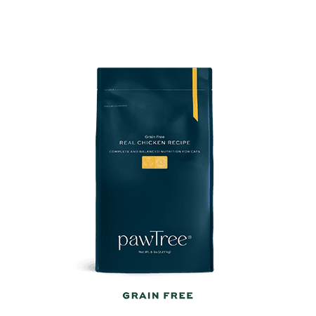 Real Chicken Recipe - pawTree