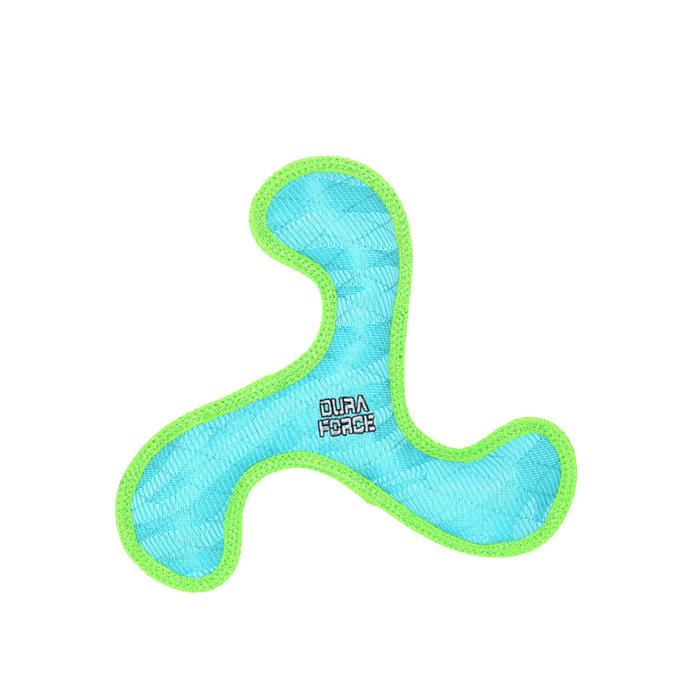 Duraforce Boomerang 12" Blue/Green - pawTree