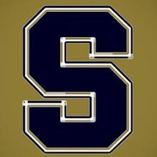 Standings | New York State Amateur Hockey Association (NYSAHA ...