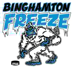 Standings | New York State Amateur Hockey Association (NYSAHA ...