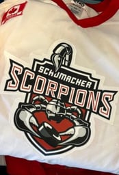 Standings | Greater Timmins Minor Hockey League Season 2024-2025 ...