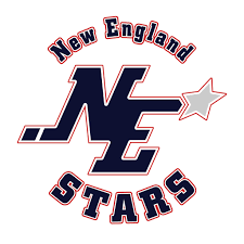 Standings | Premier Hockey League of New England (Season 1) 2024-2025 ...