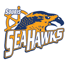 Standings | Hockey PEI Male A - Tiered Season 2024-2025 » Hockey PEI