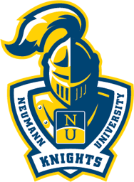 Standings | 2024/25 - Regular Season - AAU College Hockey » Amateur ...