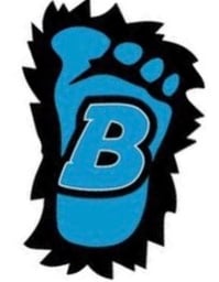 Standings | New York State Amateur Hockey Association (NYSAHA ...