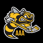 Huron Perth Lakers Logo