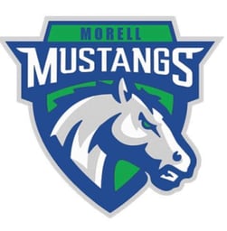 Standings | Hockey PEI Male A - Tiered Season 2024-2025 » Hockey PEI