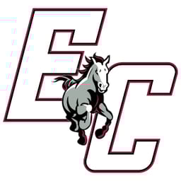 Standings | Wisconsin Amateur Hockey Association - Regular Season 2024/2025 » USAH - Central ...