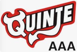 Standings | OMHA AAA 2024-2025 Season » OMHA