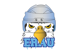 Standings | 2024/25 - Regular Season - AAU College Hockey » Amateur ...