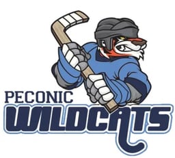 Standings | New York State Amateur Hockey Association (NYSAHA ...