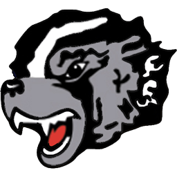 Beaver County Badgers BCB10U2