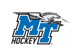 Standings | 2024/25 - Regular Season - AAU College Hockey » Amateur ...