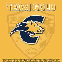 Team Gold