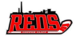 Standings | Halton Hills Winter Classic Feb 7 - 9, 2025 » OMHA