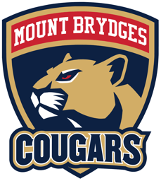 Standings | Southern Counties Minor Hockey League - 2025-2026 » OMHA