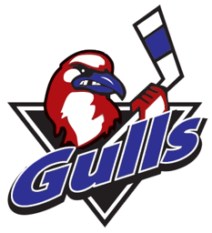 Standings | New York State Amateur Hockey Association (NYSAHA ...