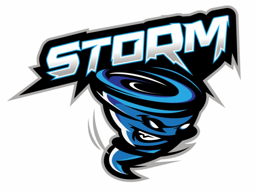 Standings | Greater Timmins Minor Hockey League Season 2024-2025 ...