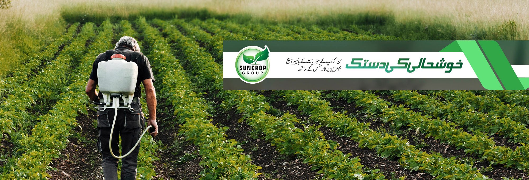 Suncrop Group - Best Online Store in Pakistan