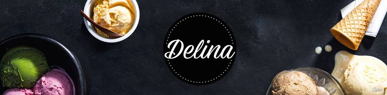 Delina - Best Online Restaurant & Food Delivery Service in Pakistan