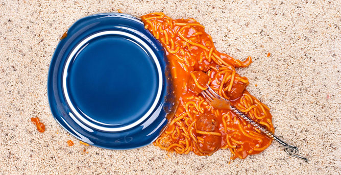 Stress Free Guide on How to Clean Liquid Spills on Rugs and Carpets ...