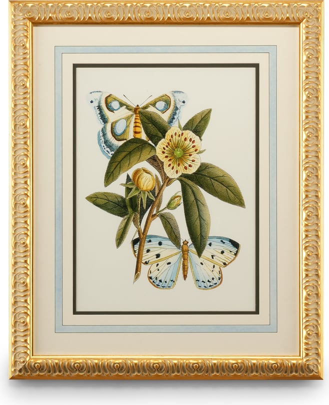 Chelsea House Butterfly Oasis I | Layla Grayce