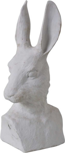 Oly Studio | Layla Grayce