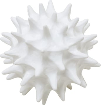 Oly Studio | Layla Grayce