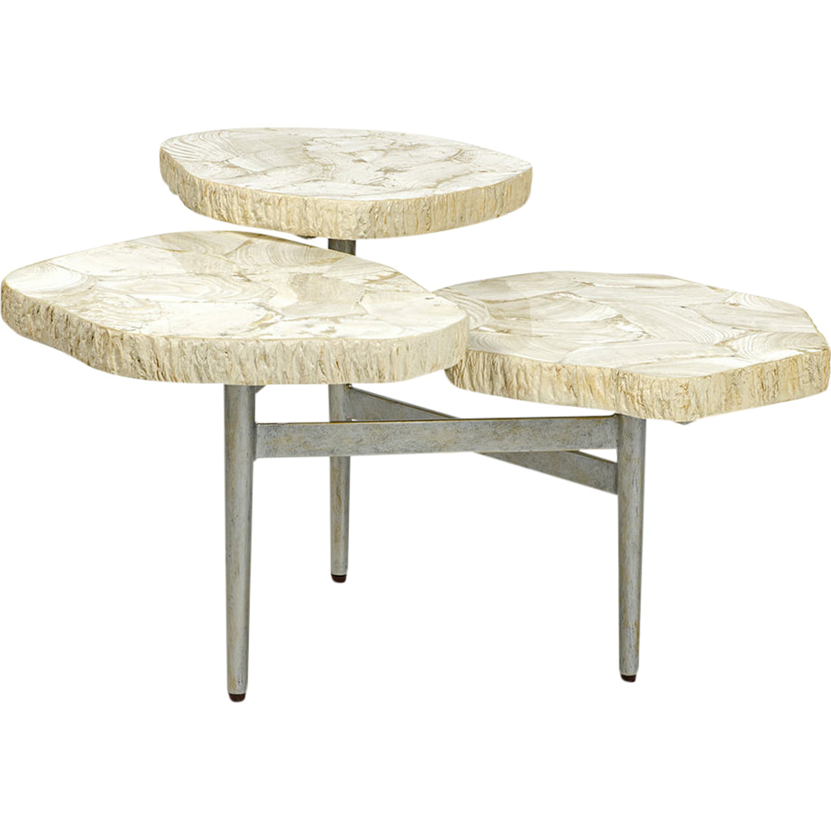 fossilized clam shell table