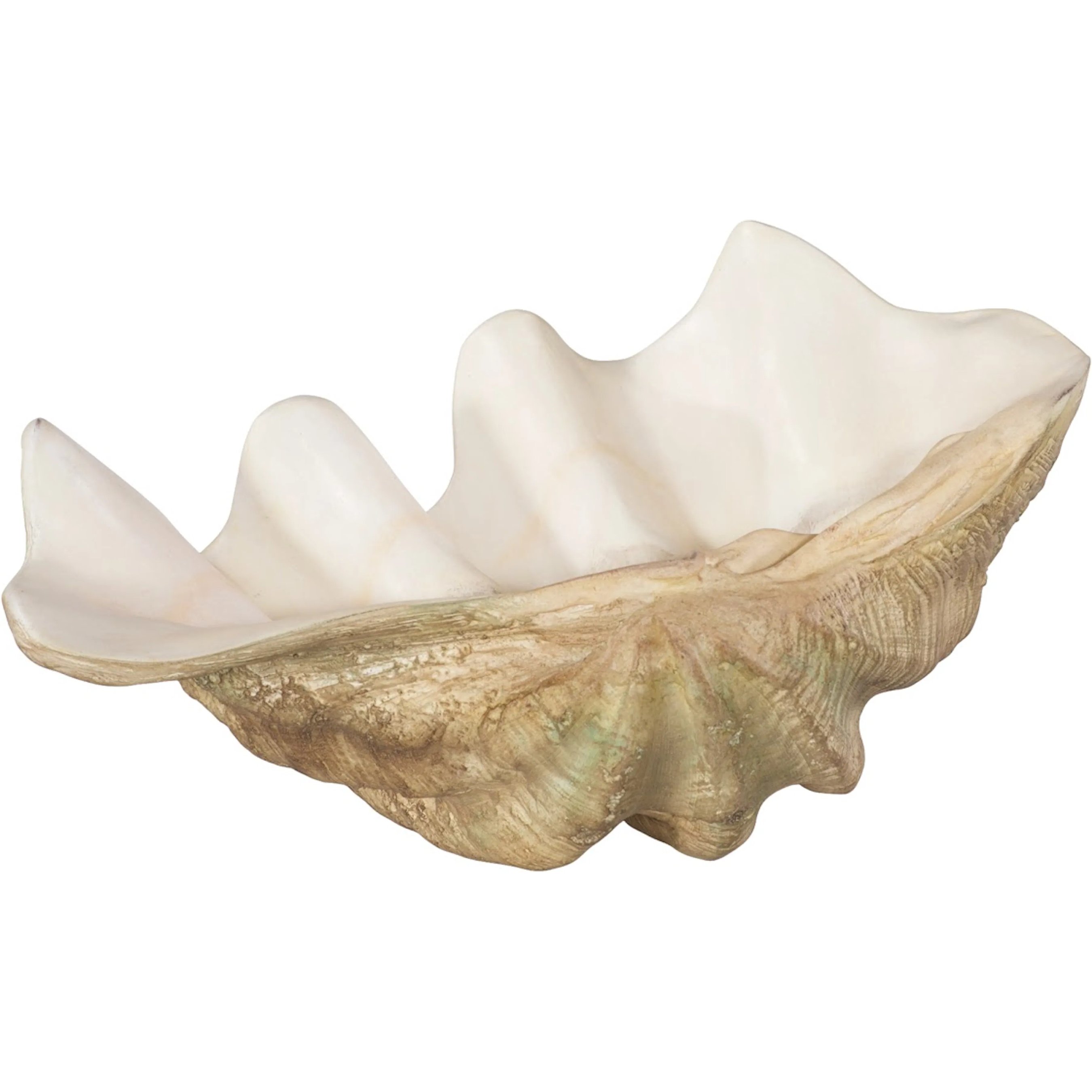 Phillips Collection Cast Clam Shell Bowl Faux | Layla Grayce