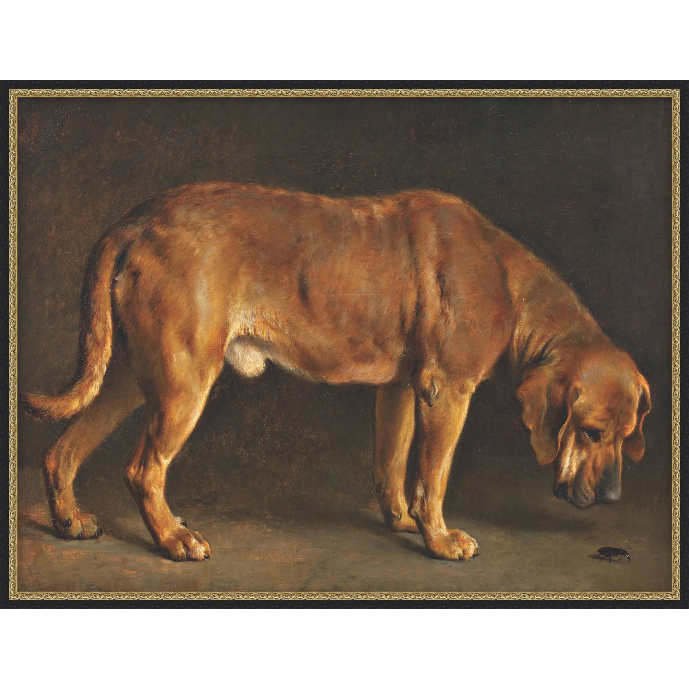 Theodore Alexander Hound and Beetle 1 | Layla Grayce