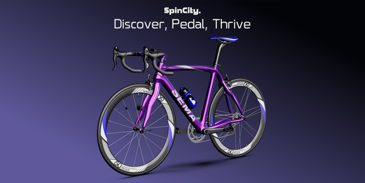 Bike Mockup and 3D Model. Road Universal Bicycle. ProVisual.