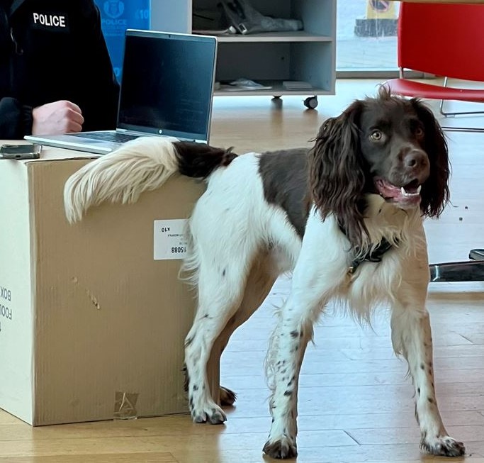 Using digital dogs proves a success for Police Scotland - The Edinburgh ...