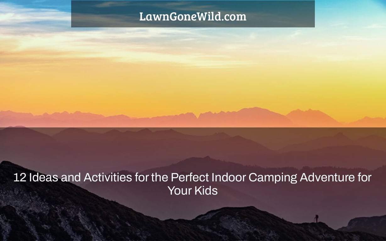 12 Ideas and Activities for the Perfect Indoor Camping Adventure for ...
